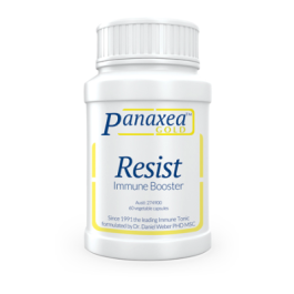 Panaxea Resist Immune Booster 60 Vegetable Capsules | Fitch's Pharmacy